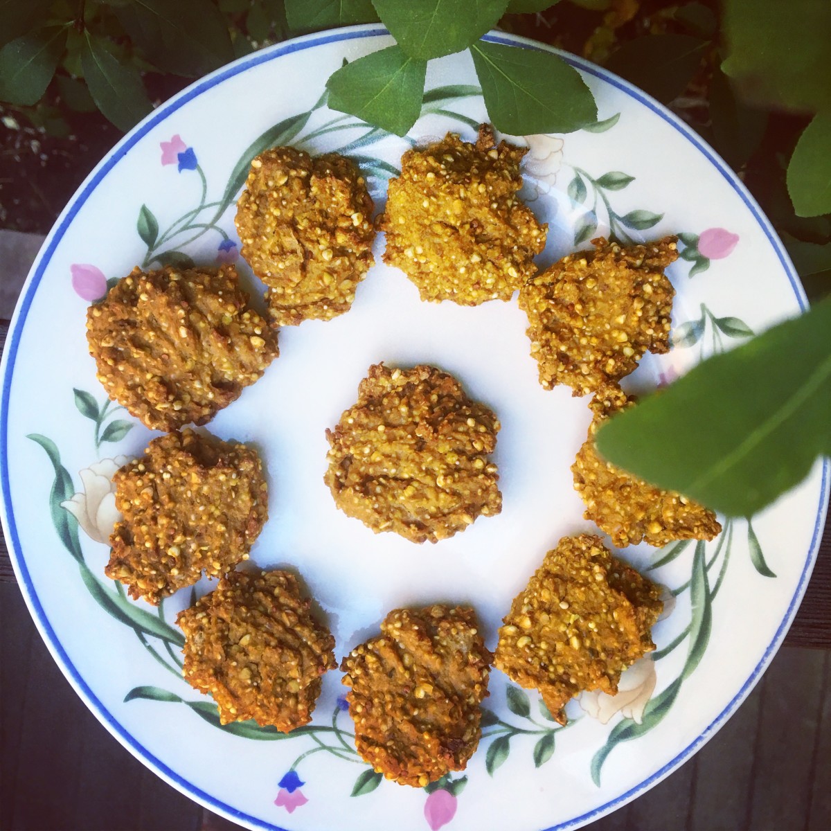5-Ingredient Vegan Gluten Free Pumpkin Spice Cookies